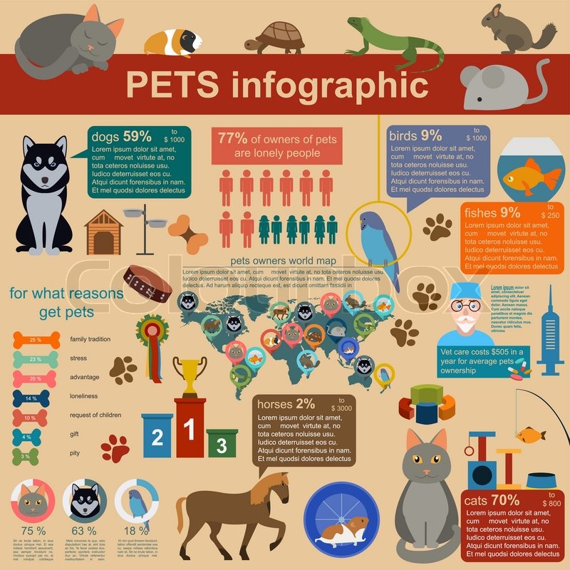 Domestic pets infographic elements, ... | Stock vector | Colourbox
