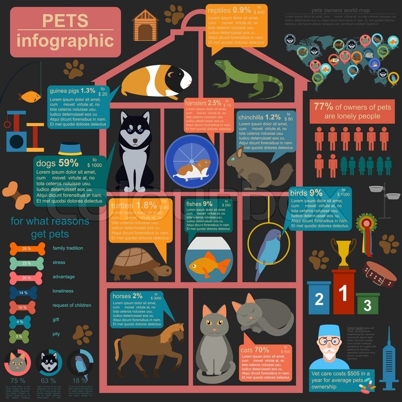 Domestic pets infographic elements, ... | Stock vector | Colourbox