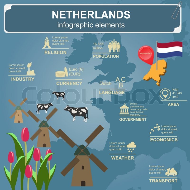 Netherlands infographics, statistical ... | Stock vector | Colourbox