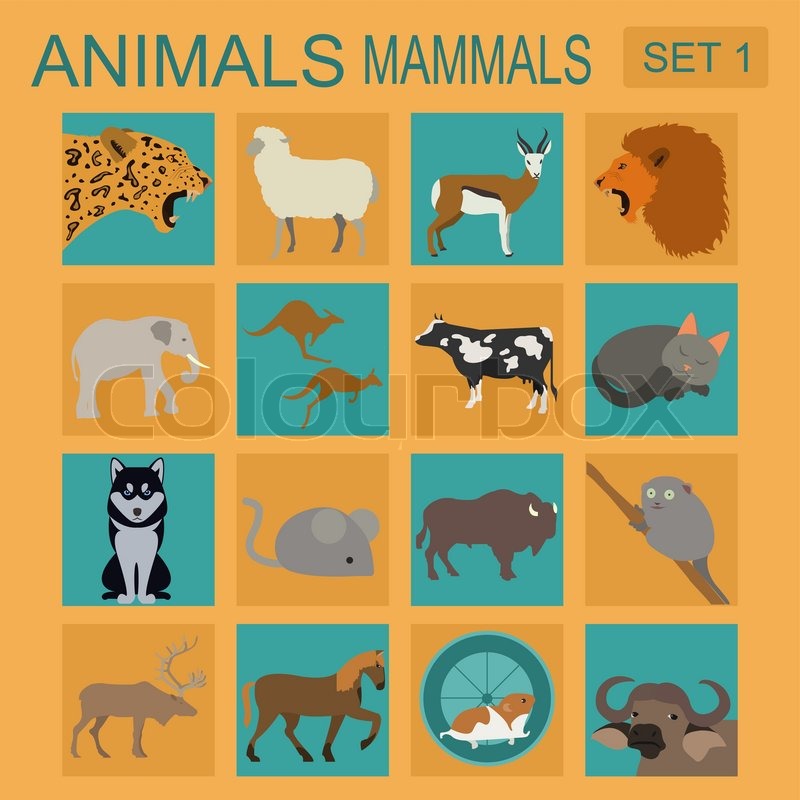 Animals mammals icon set. Vector flat ... | Stock vector | Colourbox