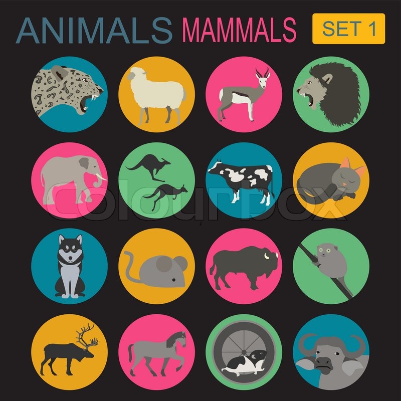 Animals mammals icon set. Vector flat ... | Stock vector | Colourbox