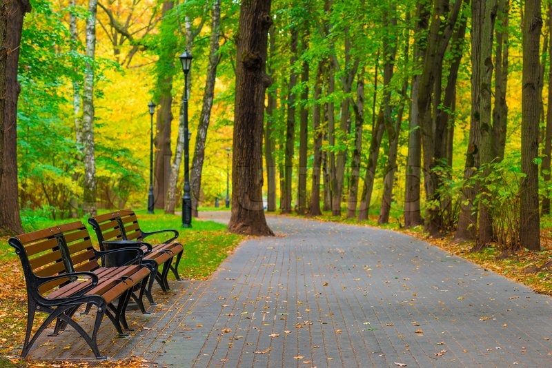 Well maintained city park with benches ... | Stock image | Colourbox