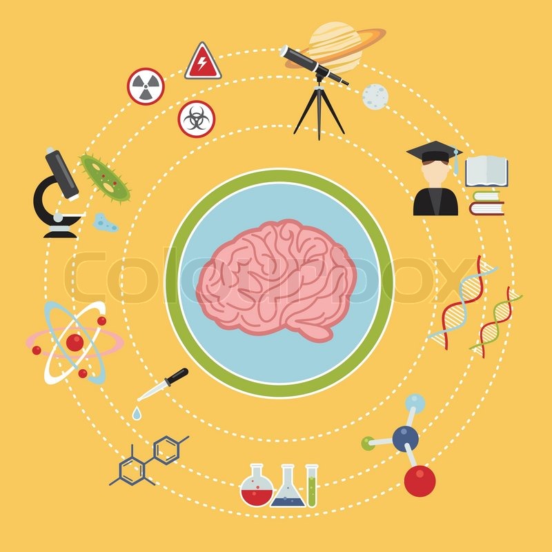 Illustrated infographics on science ... | Stock vector | Colourbox