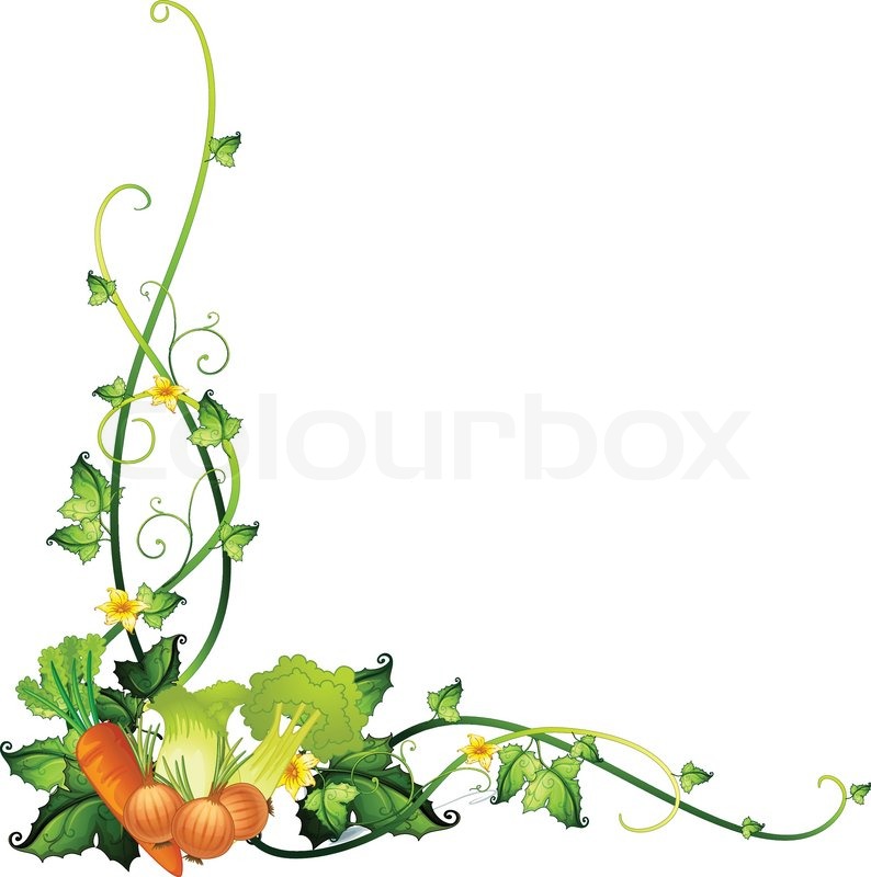 A vegetable border template on a white ... | Stock vector | Colourbox