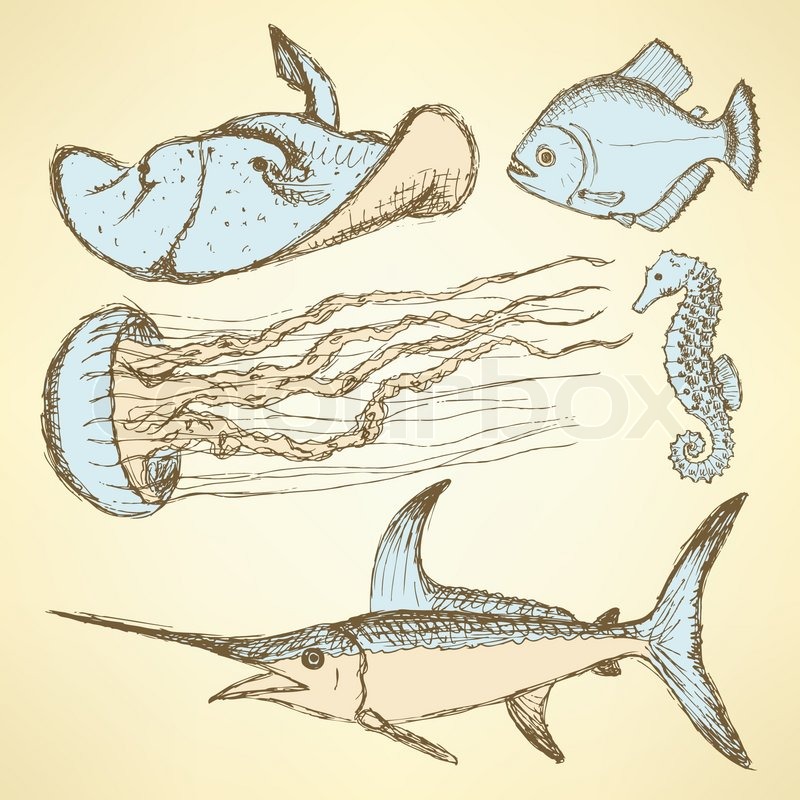 Sketch sea creatures in vintage style, ... | Stock vector | Colourbox