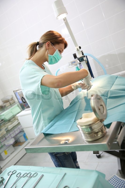 Veterinarian doing surgery on animal | Stock image | Colourbox