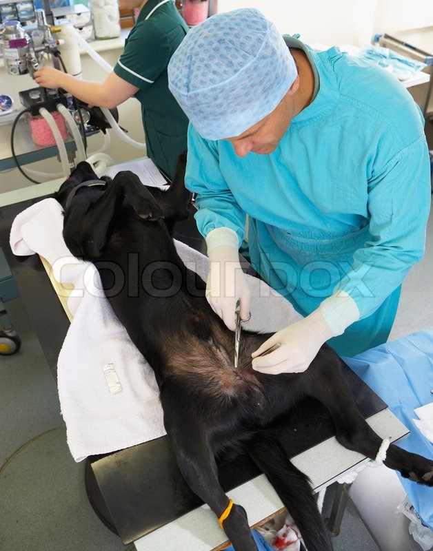 Castration Surgery For Men
