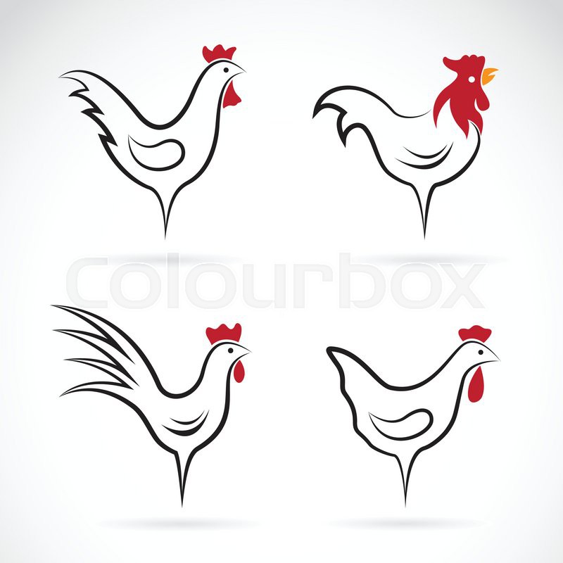 Vector image of an chicken design on ... | Stock vector | Colourbox