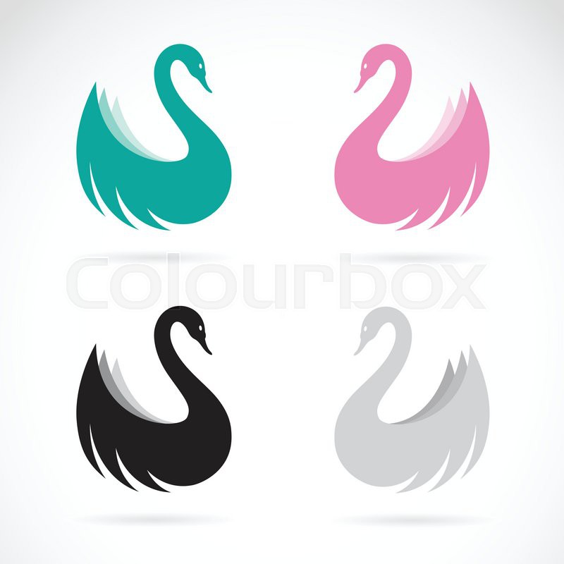 Vector images of swan design on a ... | Stock vector | Colourbox