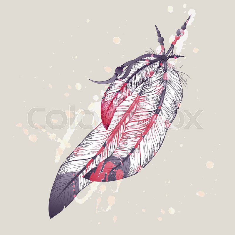 Vector illustration of eagle feathers ... | Stock vector | Colourbox