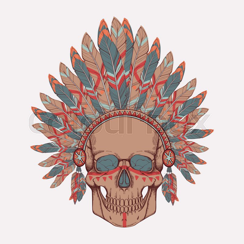 Native American Human Skull