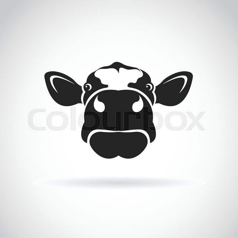 Vector image of an cow head on white ... | Stock vector | Colourbox