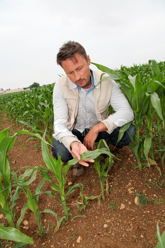 Agronomist