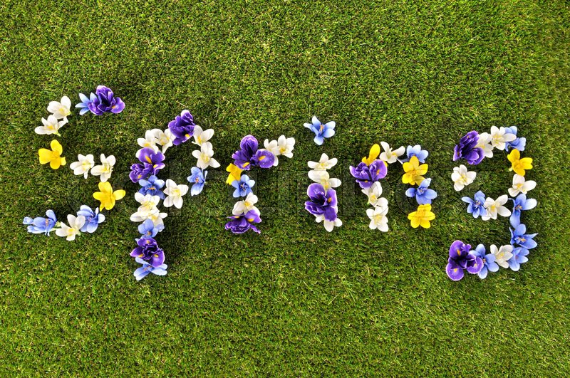 The word Spring written with flowers on ... | Stock image | Colourbox