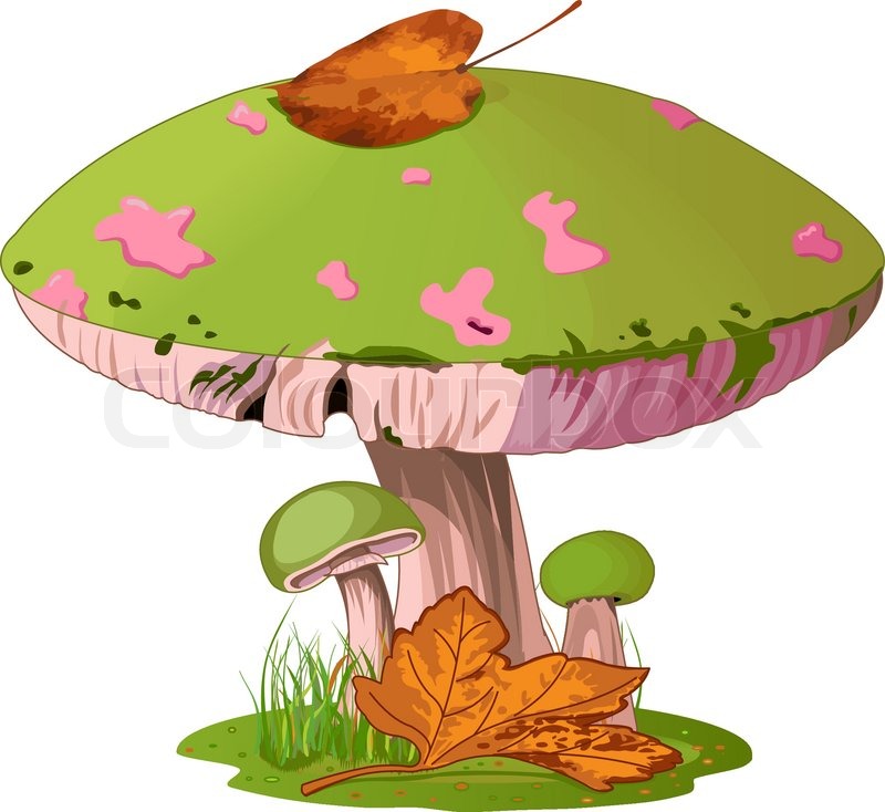 Pilz | Stock-Vektor | Colourbox