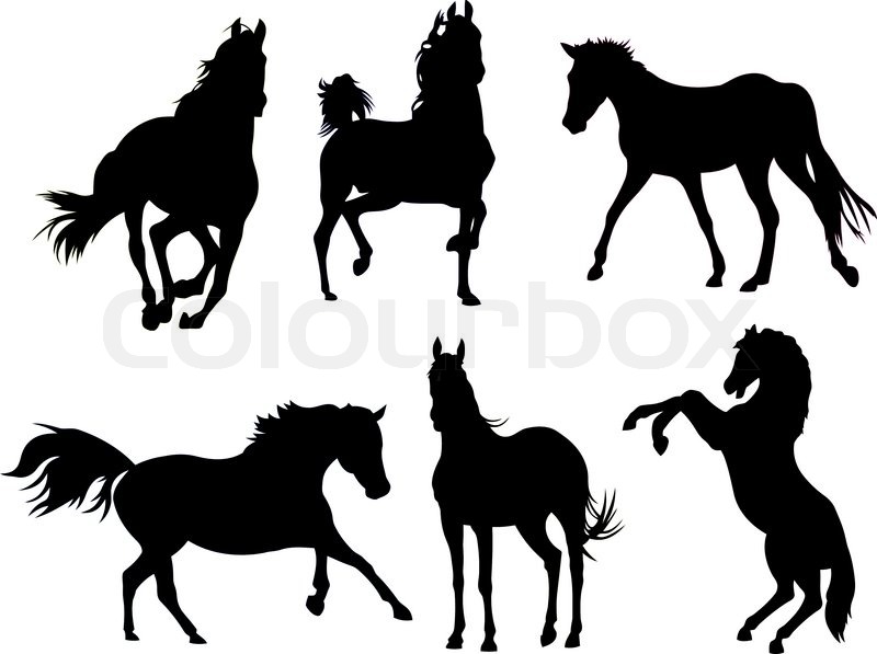 Heste, hest, clipart | Stock vektor | Colourbox