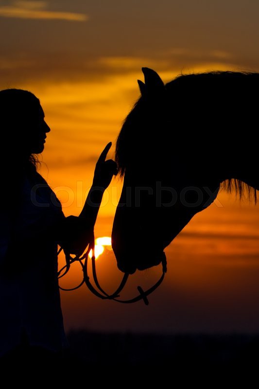 Beautiful horse with girl silhouette on ... | Stock image | Colourbox