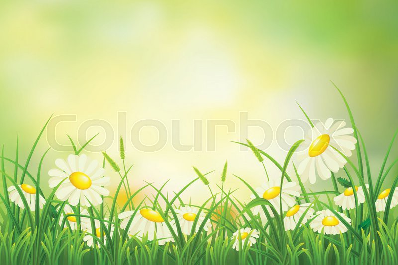 Spring meadow background with green ... | Stock vector | Colourbox