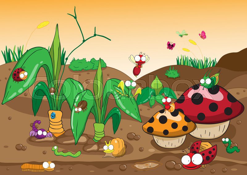Insects family on the ground and tree. ... | Stock vector | Colourbox