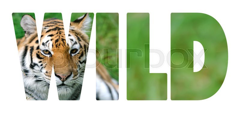 Background with word \"Wild\". Letters ... | Stock image | Colourbox