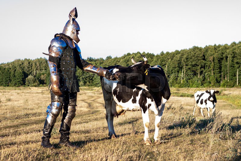 Medieval knight in the field with an ... | Stock image | Colourbox