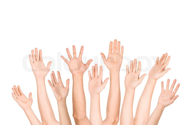 Many open hand up on isolated white ... | Stock image | Colourbox