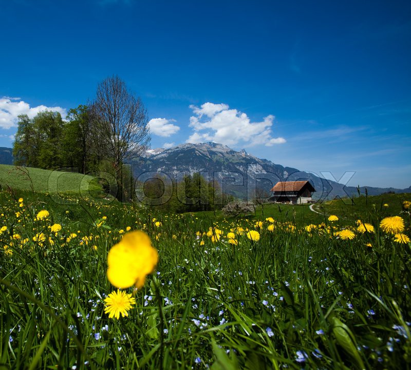 Spring landscape in mountains, Alps | Stock image | Colourbox