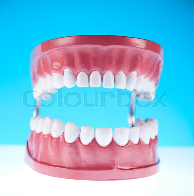 Tooth, bright colorful tone concept | Stock image | Colourbox