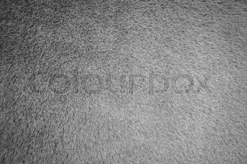 Black grass texture background | Stock image | Colourbox