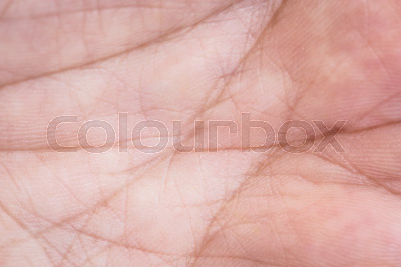 Macro Hand skin texture | Stock image | Colourbox