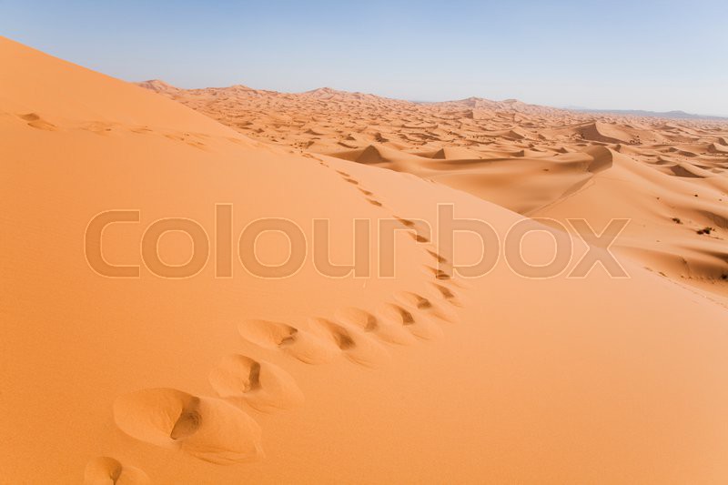 Sand background, colorful vibrant ... | Stock image | Colourbox