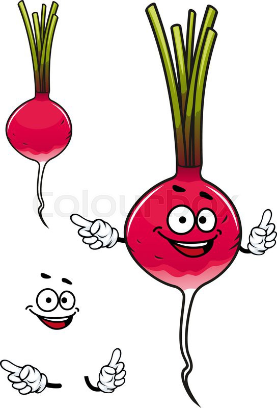 Cute happy fresh cartoon radish vegetable with waving arms pointing up ...