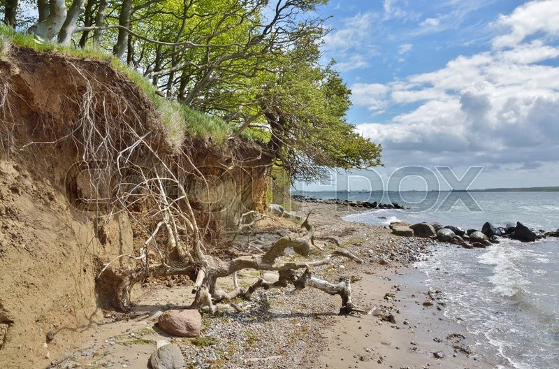 Naturen ved Lehnskov Strand på Sydfyn | Stock foto | Colourbox