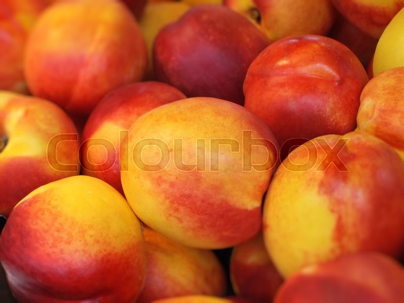 Fresh nectarines background, juicy ... | Stock image | Colourbox