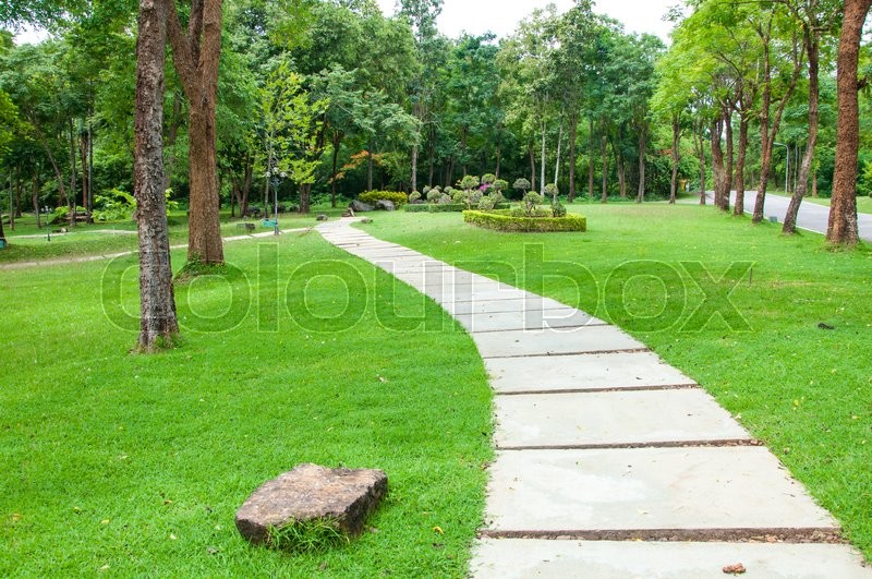 Walkway on green grassy in park. | Stock image | Colourbox