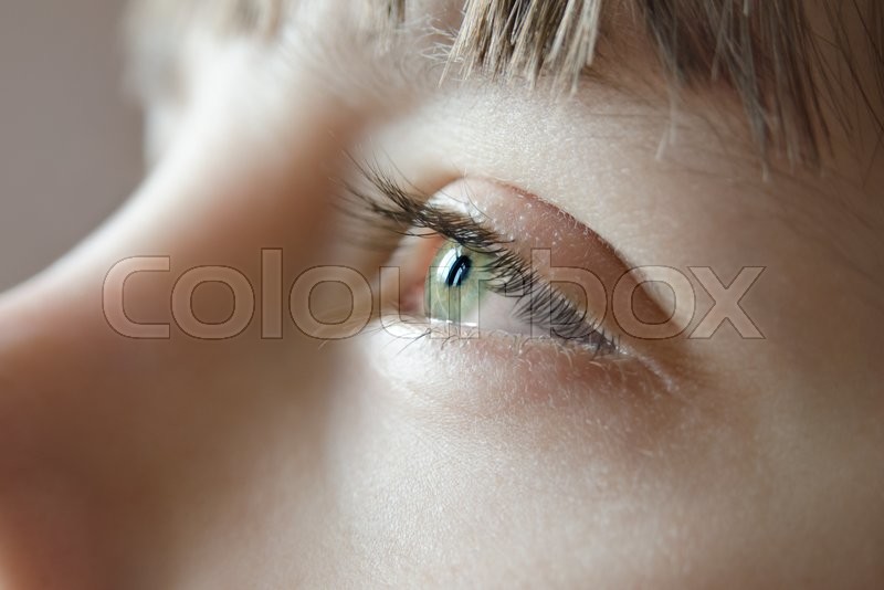 Sunlight reflected in the eyes of the ... | Stock image | Colourbox