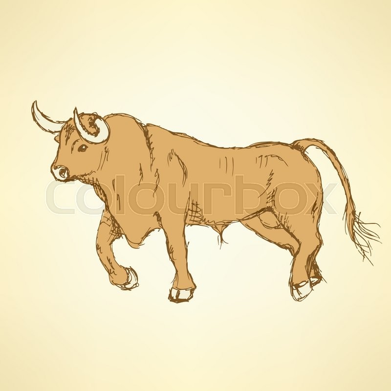 Sketch angry bull in vintage style, ... | Stock vector | Colourbox