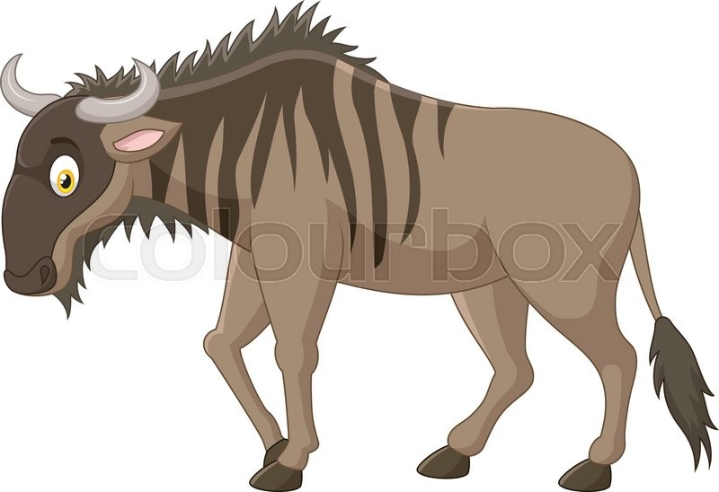 Vector illustration of Strong animals ... | Stock vector | Colourbox