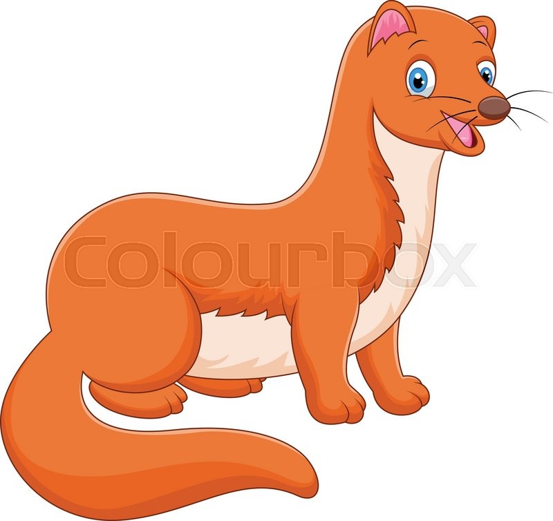 Vector illustration of Cute Weasel ... | Stock vector | Colourbox