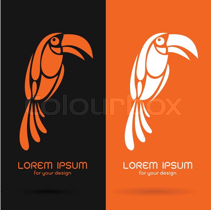 Vector image of an hornbill design on ... | Stock vector | Colourbox