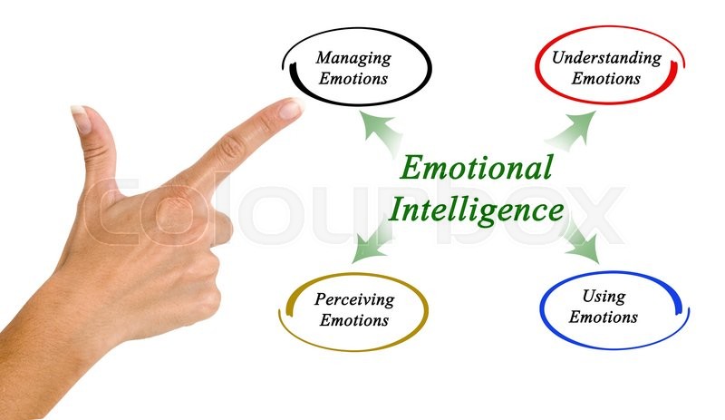 Diagram of emotional intelligence | Stock Photo | Colourbox