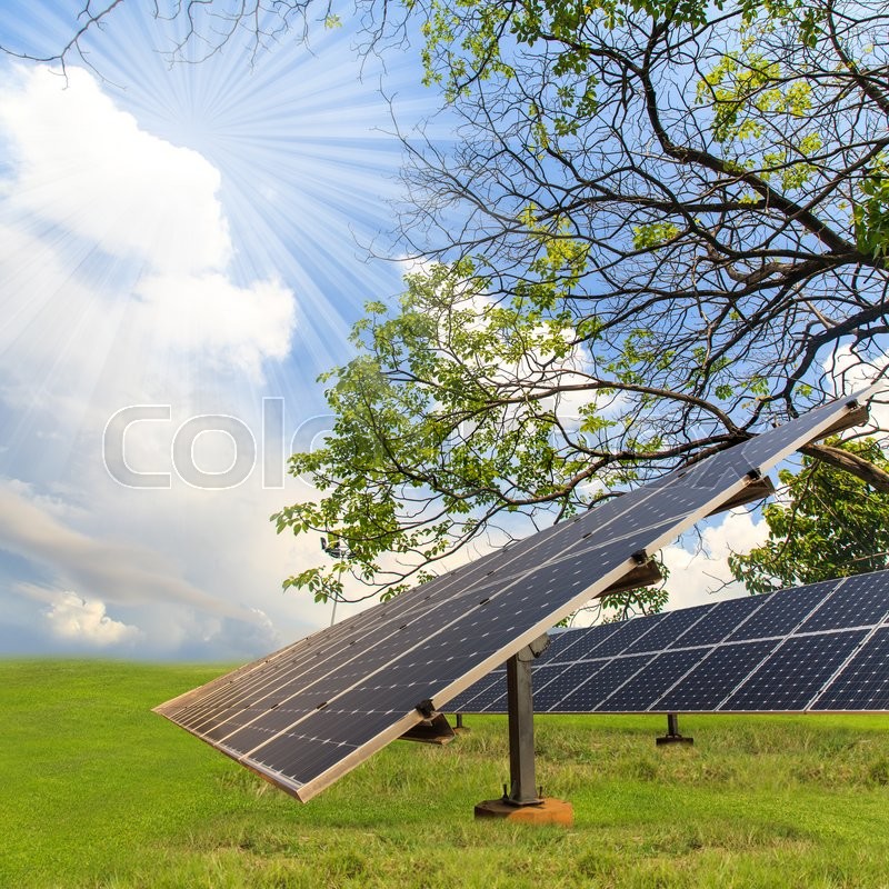 Solar panels on green grass with blue ... | Stock Photo | Colourbox
