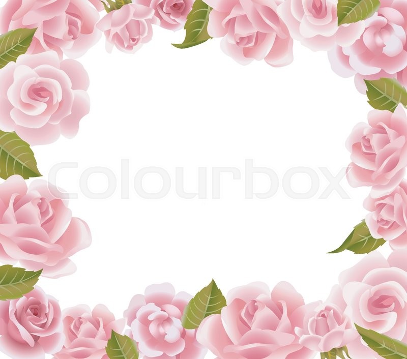 Vector frame made of pink roses with ... | Stock Vector | Colourbox