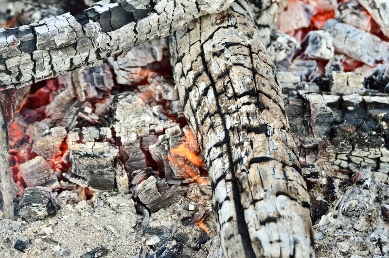 Fire Damaged Wood Pictures