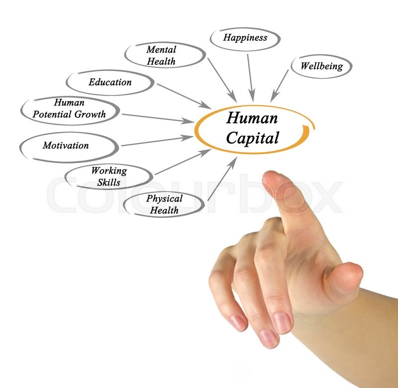 Diagram of Human Capital | Stock image | Colourbox