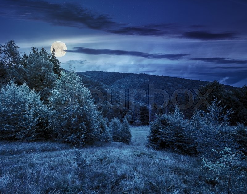 Hillside At Night