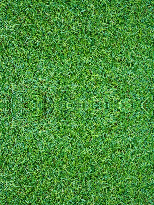 Grass green color. | Stock image | Colourbox