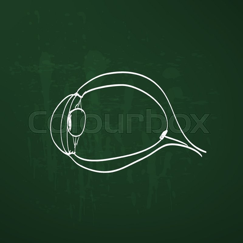Eye anatomy chalk painted on the ... | Stock vector | Colourbox