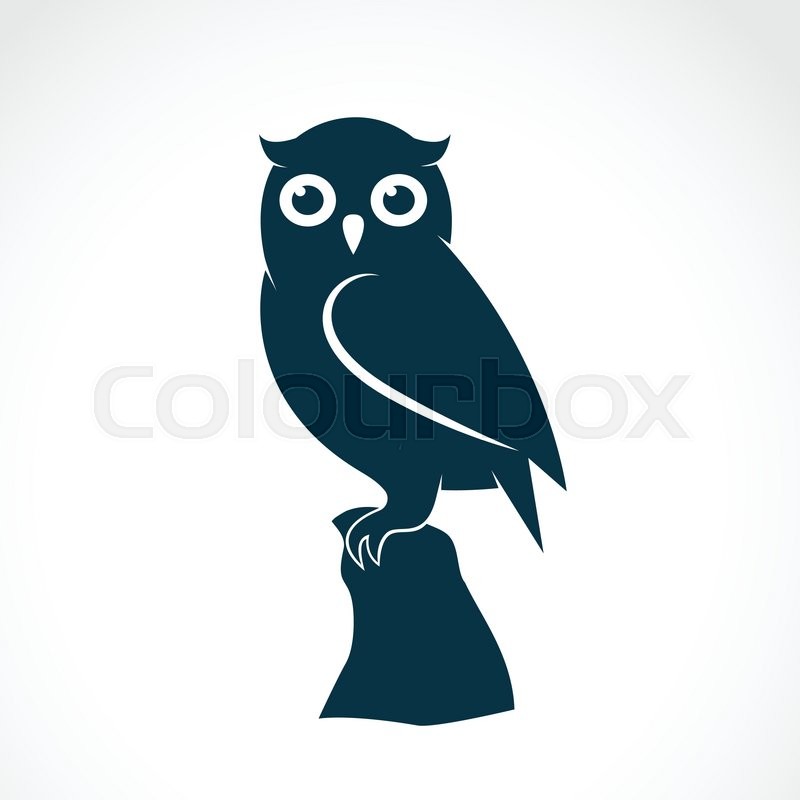 Vector image of an owl on white ... | Stock vector | Colourbox