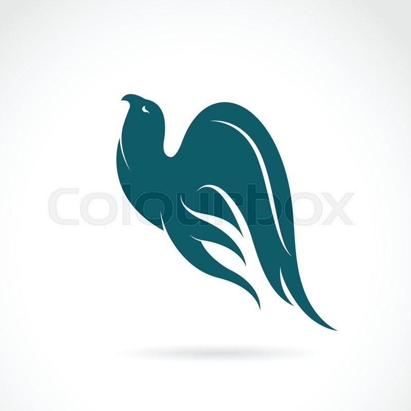 Vector image of an bird on white ... | Stock vector | Colourbox